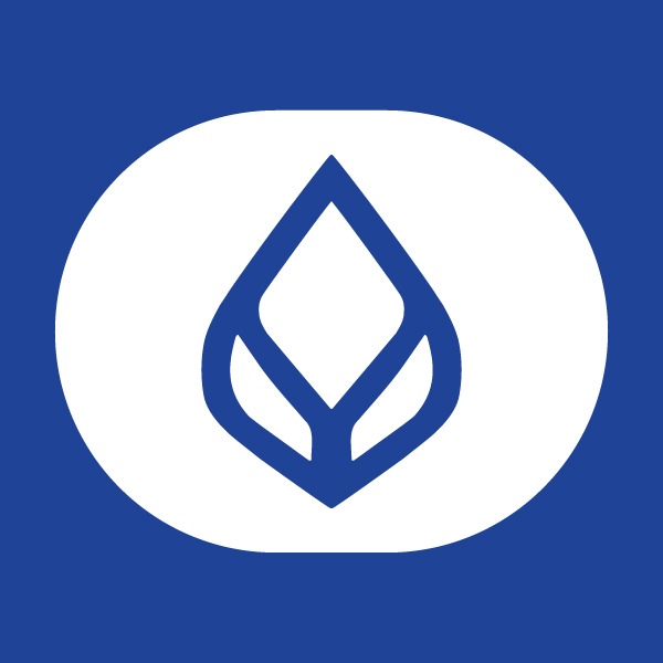 BBL (HOLD : Fair Price : Bt 149.00) : กำไรสุทธิใน 2Q25 ตามคา | Pi ...